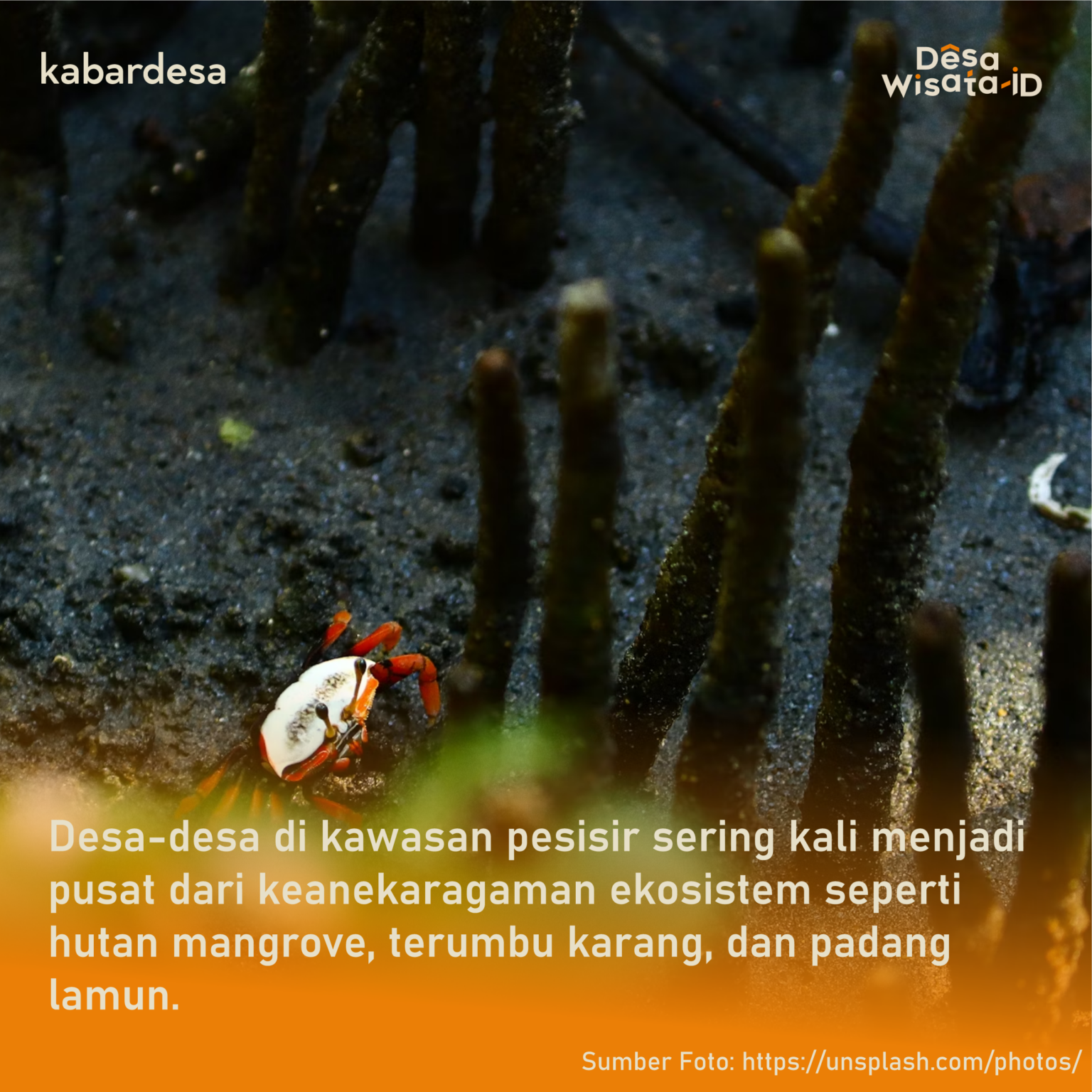 Potensi Desa Pesisir Pantai Indonesia untuk Pengembangan Wisata Pesisir ...